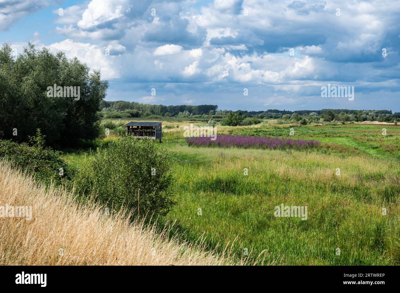 Bekkevoort hi-res stock photography and images - Alamy