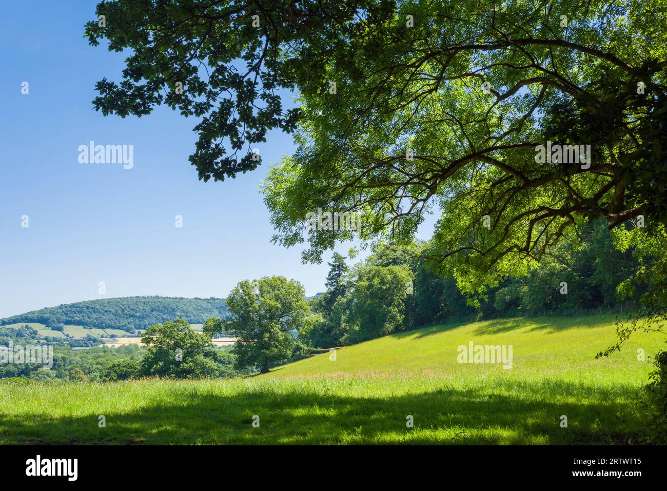 Somerset landscape hi-res stock photography and images - Alamy