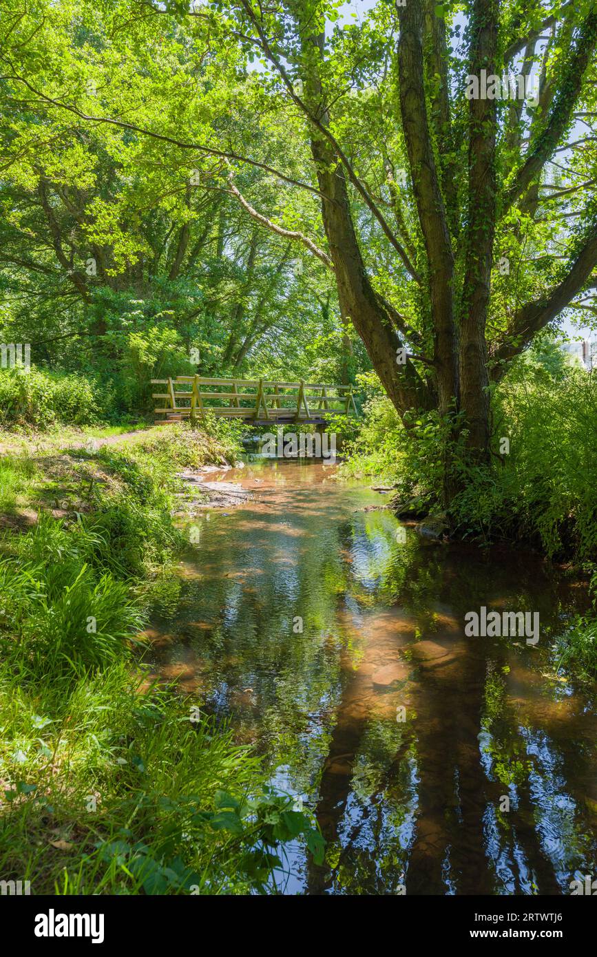 Lower allerford footbridge hi-res stock photography and images - Alamy
