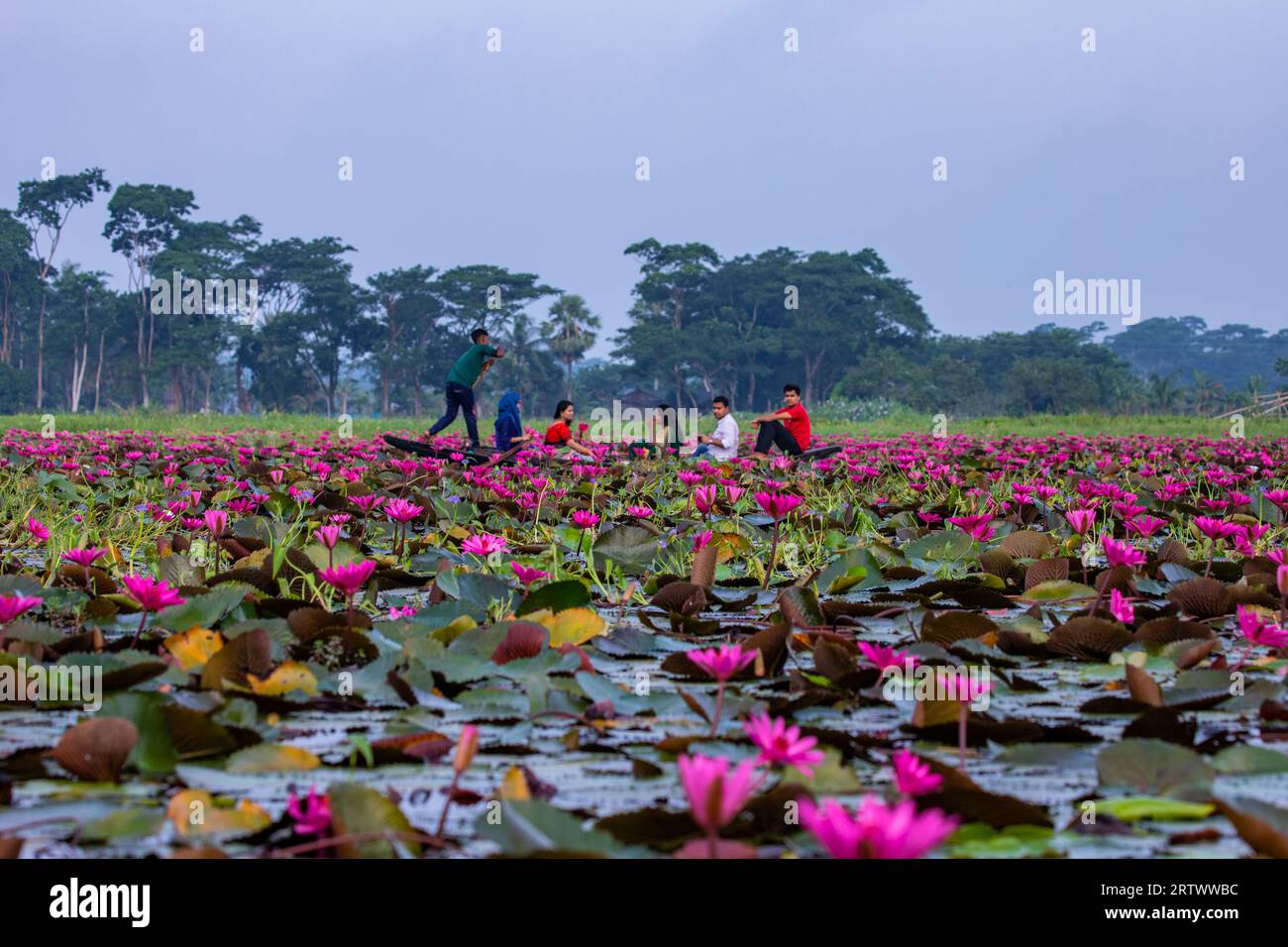 Barisal delta hi-res stock photography and images - Alamy