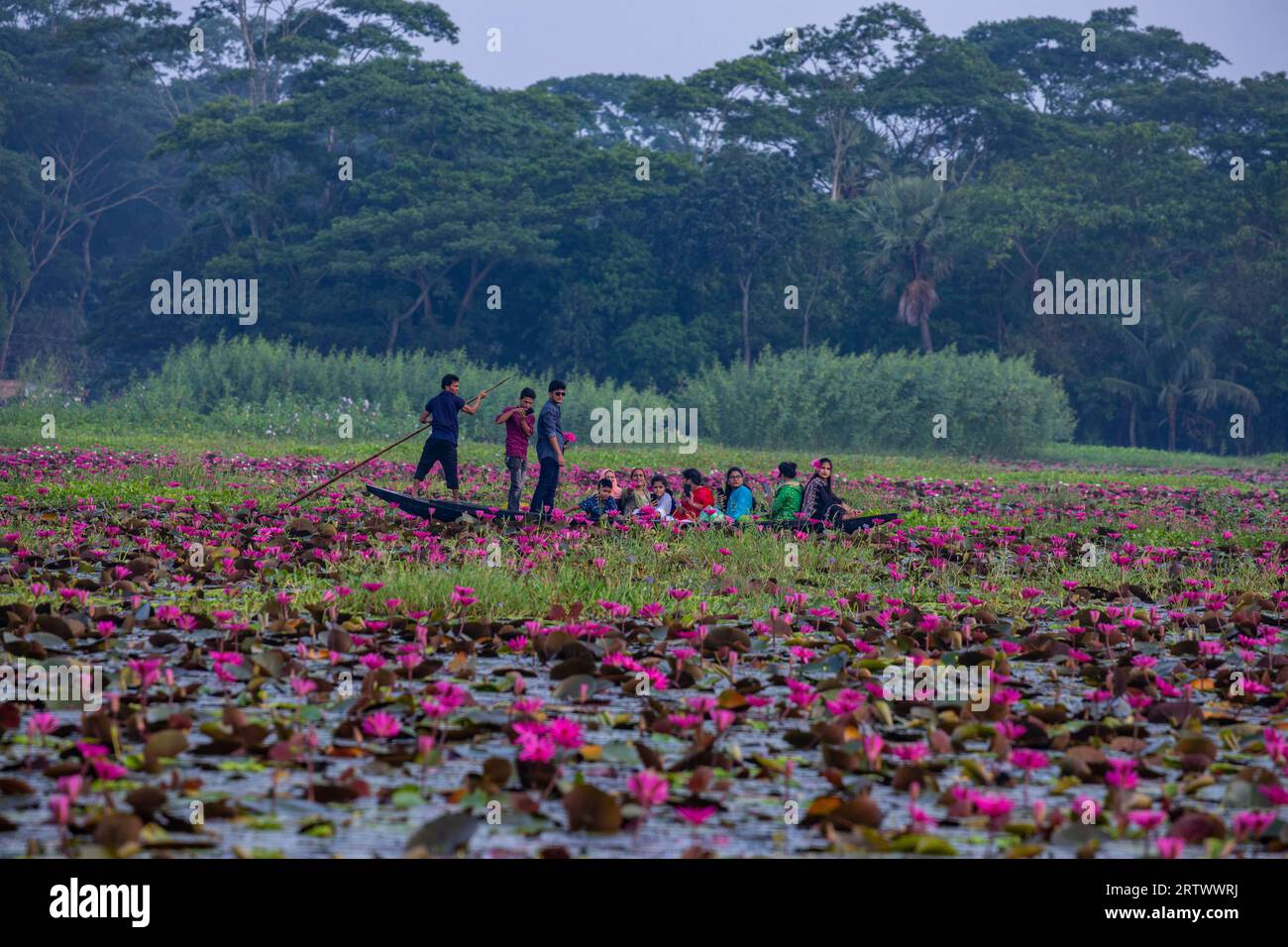 Barisal delta hi-res stock photography and images - Alamy