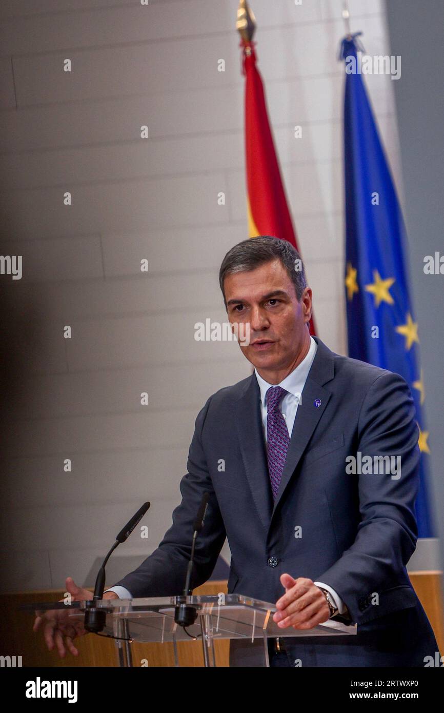 The acting Prime Minister, Pedro Sánchez, presents the strategic ...