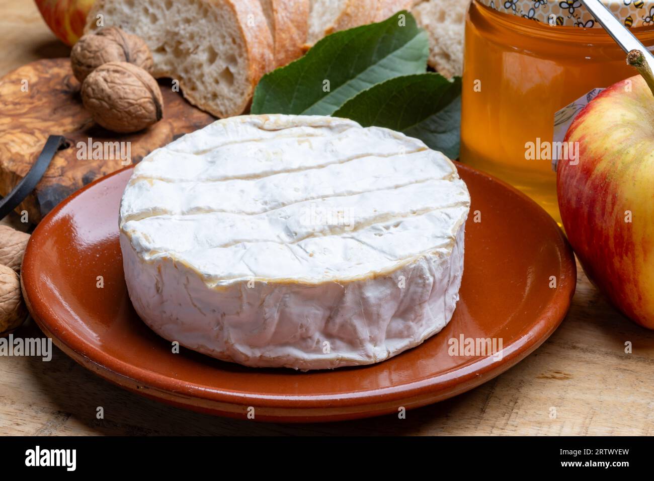 French soft Camembert cheese, original Camembert de Normandie, close up ...