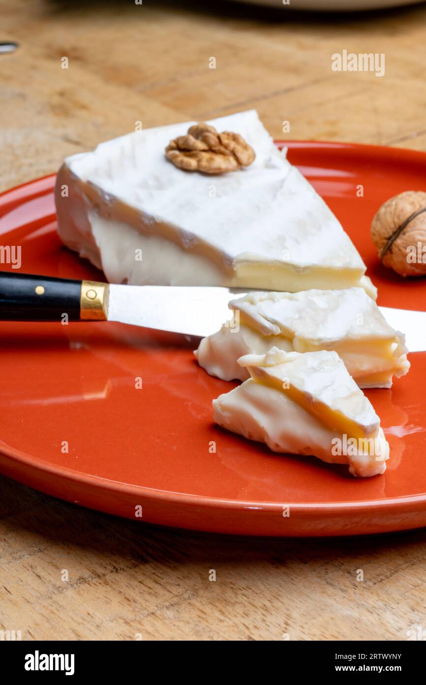 Piece of french soft-ripened white mold cow milk cheese brie produced ...