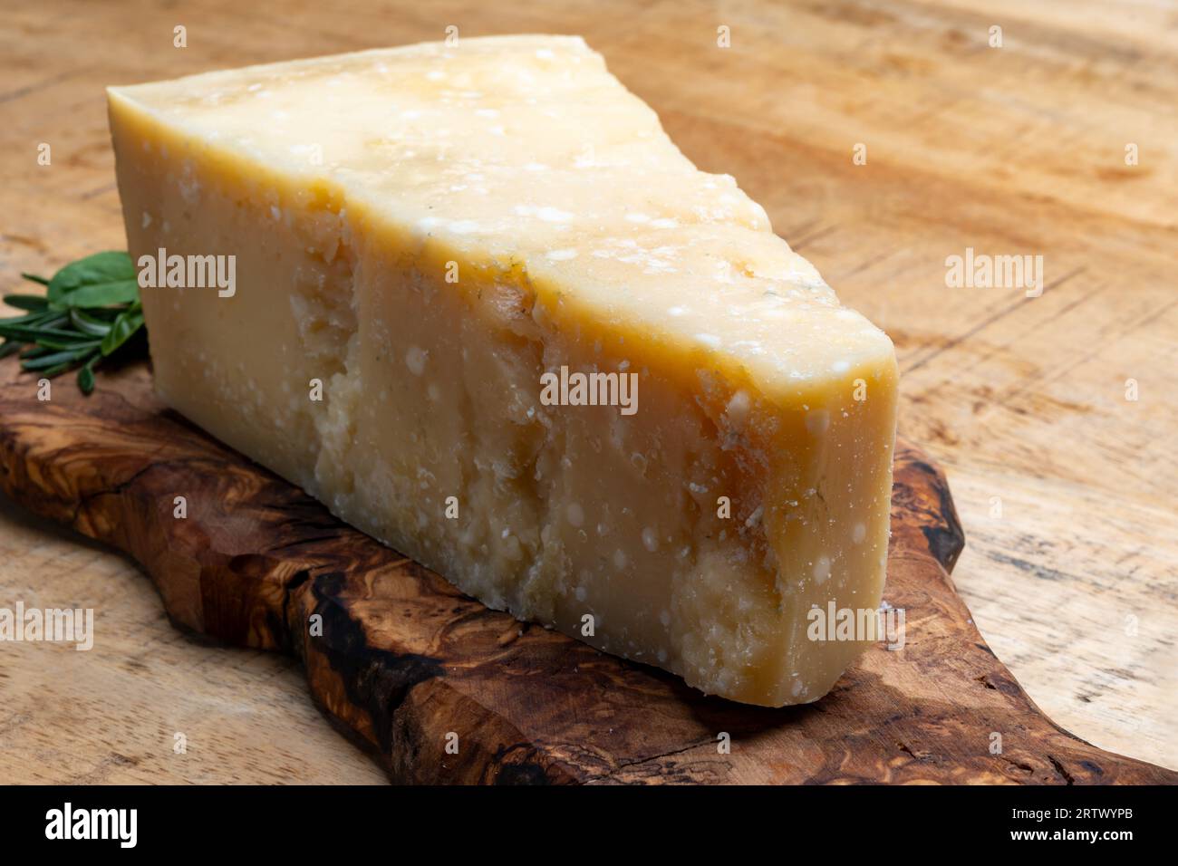 Cheese collection, hard matured yellow Italian cheese parmesan or ...