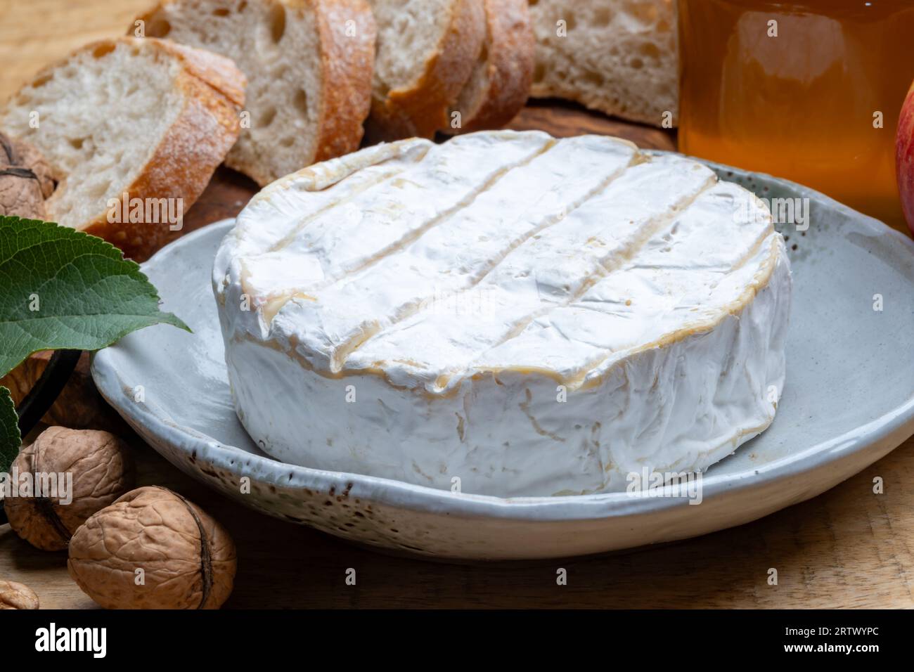 French soft Camembert cheese, original Camembert de Normandie, close up ...