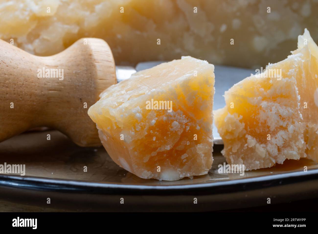 Cheese collection, hard matured yellow Italian cheese parmesan or ...