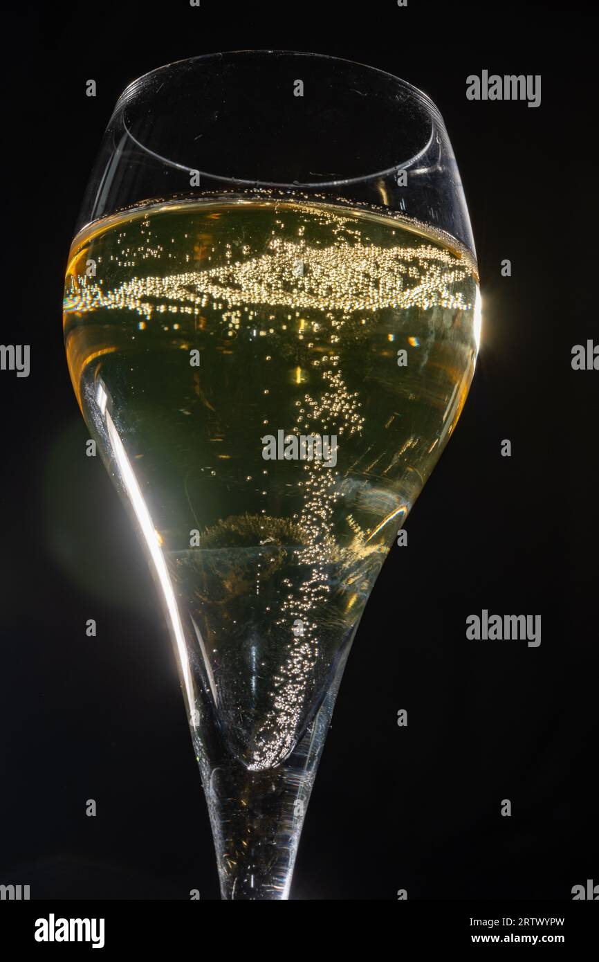 Glass of french sparkling champagne wine with bubbles on dark ...