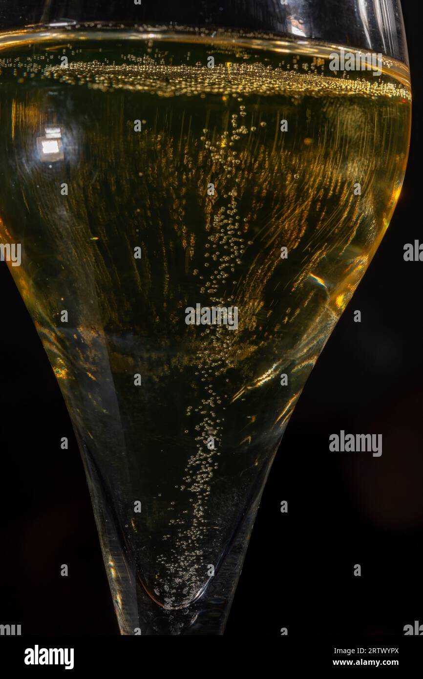 Glass of french sparkling champagne wine with bubbles on dark ...