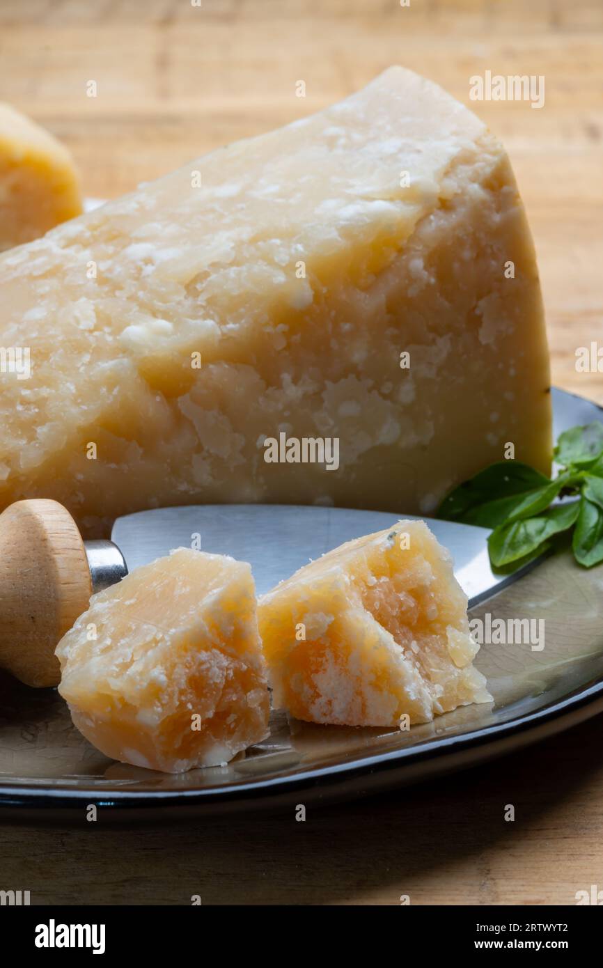 Cheese collection, hard matured yellow Italian cheese parmesan or ...