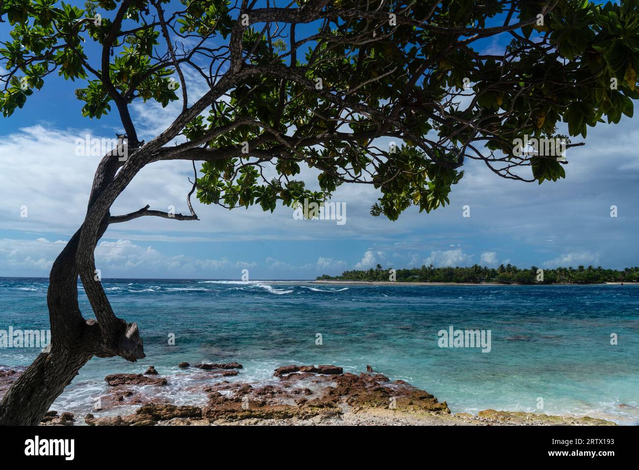 Rangiroa, Tuamotu archipelago, French Polynesia Stock Photo - Alamy