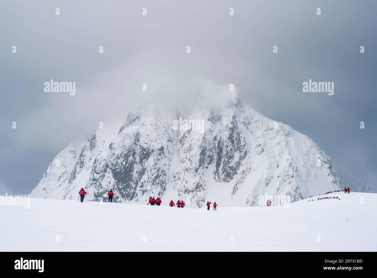 Petermann Island, Antarctica Stock Photo - Alamy