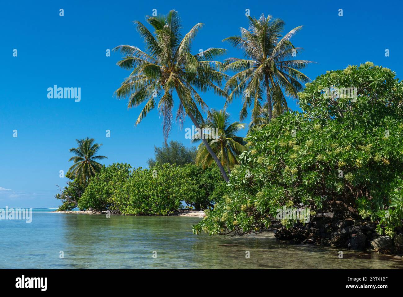 Raiatea, Society Islands, French Polynesia Stock Photo - Alamy