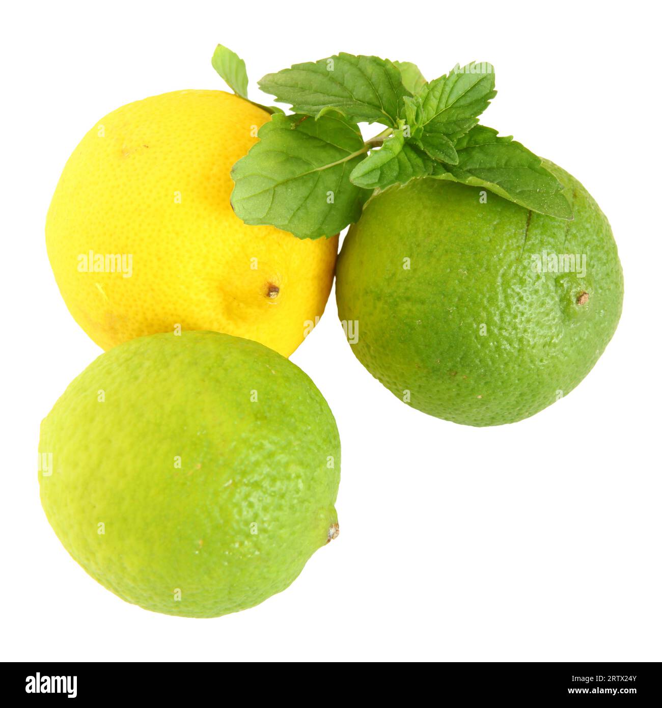 Natural fresh citrus limes, lemon and mint. Isolated clip art. Great ...