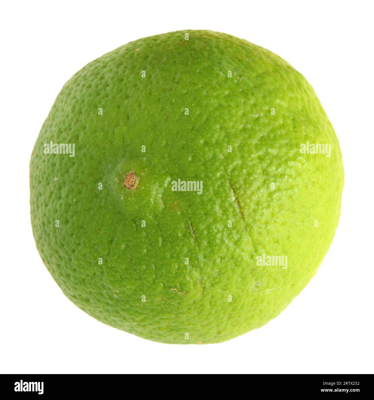 Natural fresh citrus lime. Isolated clip art. Great for printing design ...