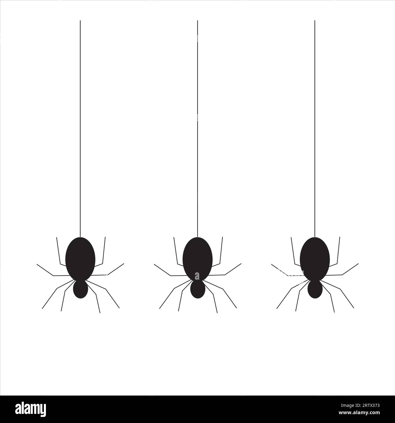 Three spiders hanging on a white background with copy space Stock ...
