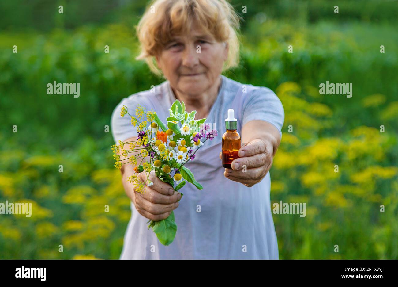 An old woman holds an extract in a bottle of medicinal herbs and ...