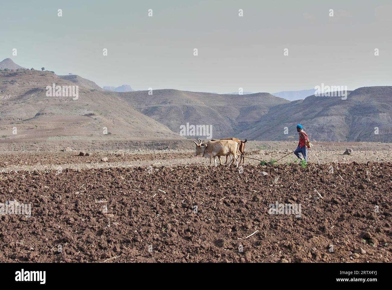 Traditional manual plough hi-res stock photography and images - Alamy
