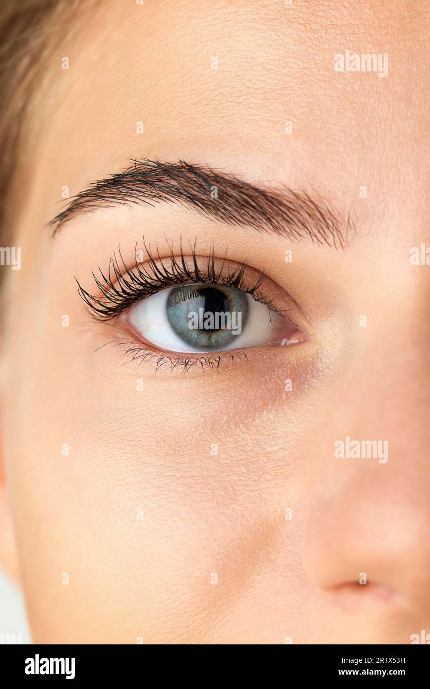 Close-up of female face, brows, eyes and nose isolated on white ...