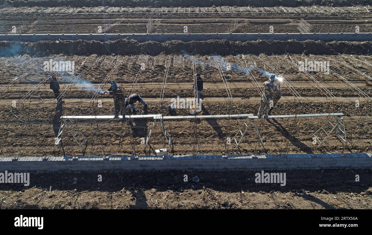 farmers weld steel skeleton greenhouses in farmland, North China Stock ...