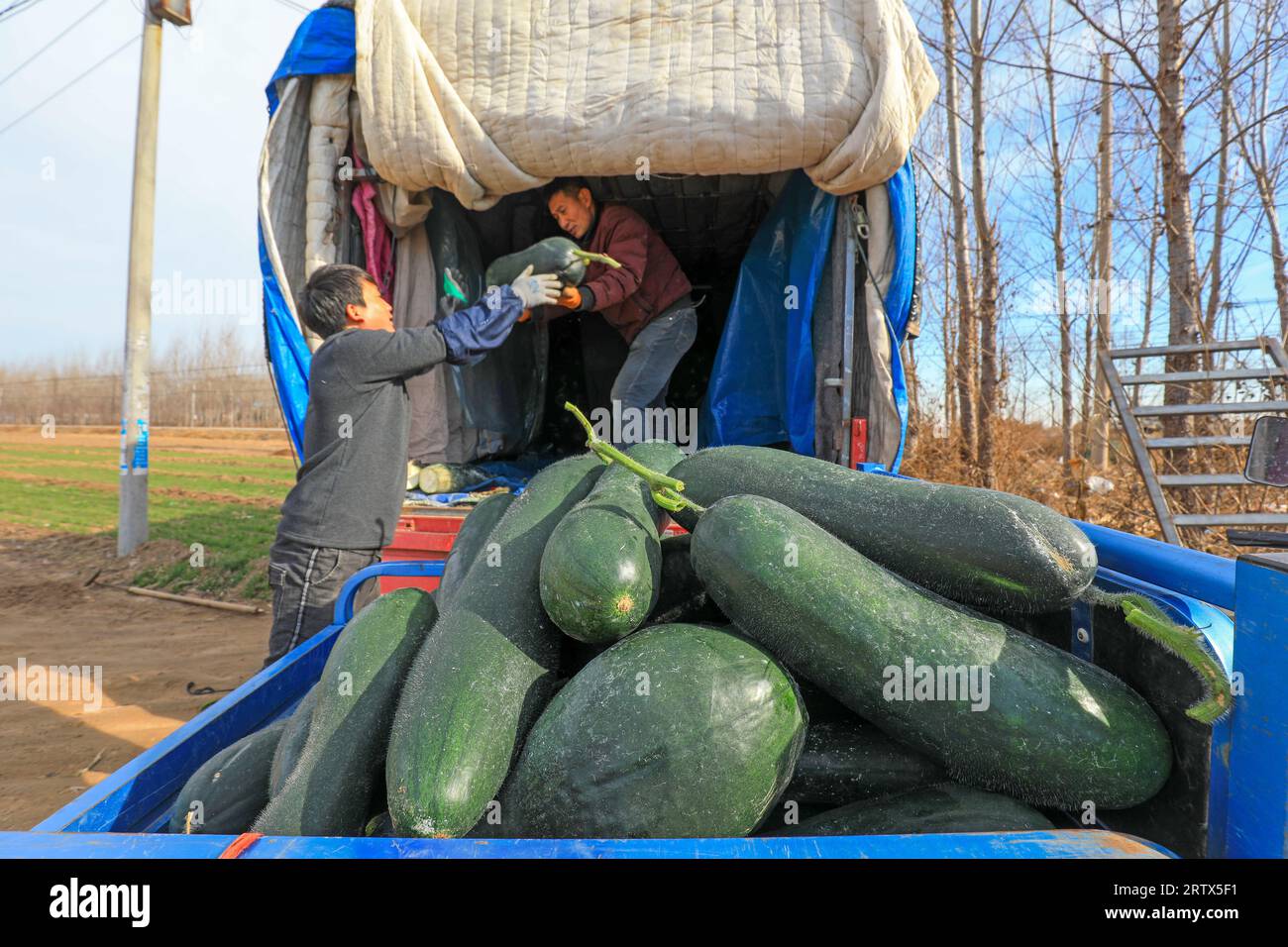 Black skin white gourd hi-res stock photography and images - Alamy