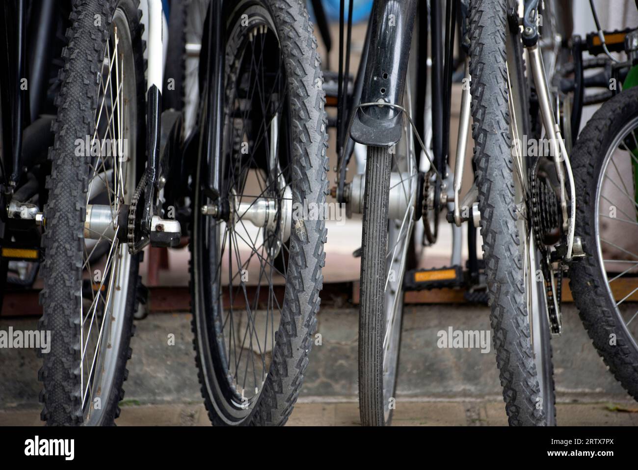 Cycling lifestyle hi-res stock photography and images - Alamy