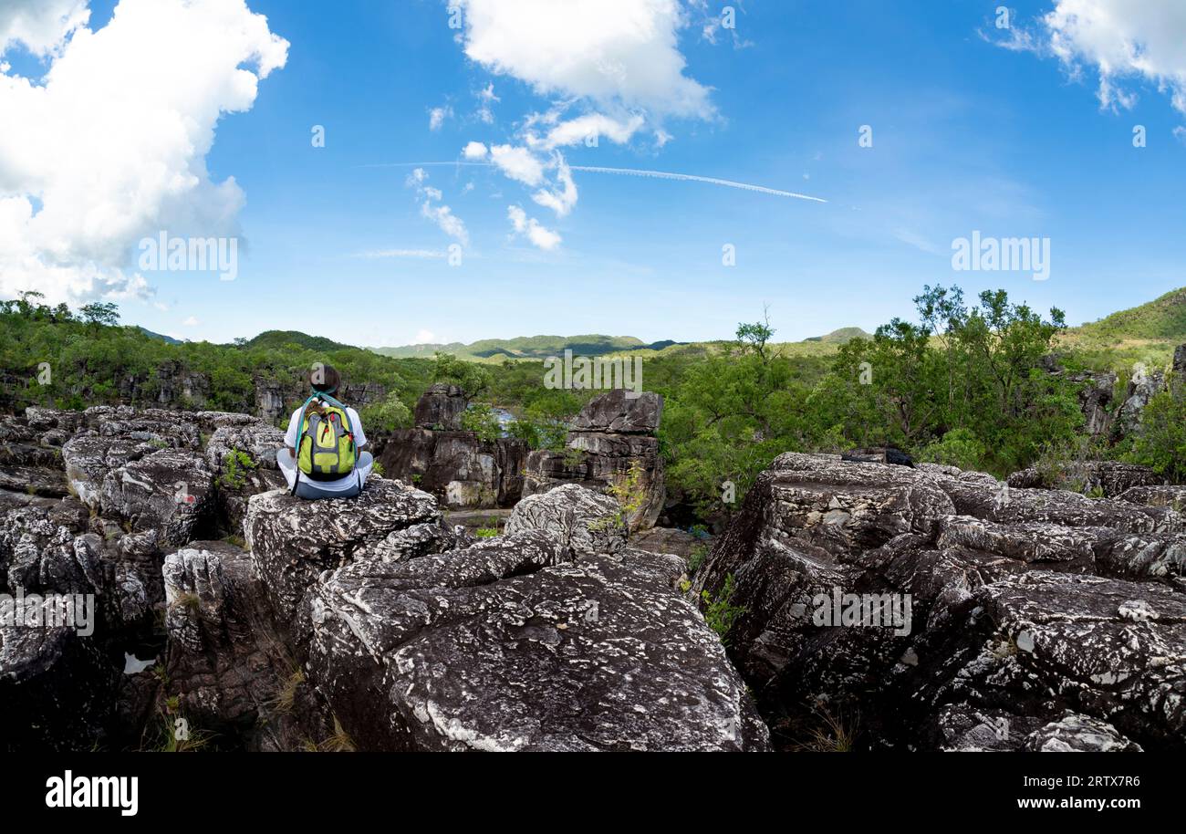 Brazilian cerrado hi-res stock photography and images - Alamy