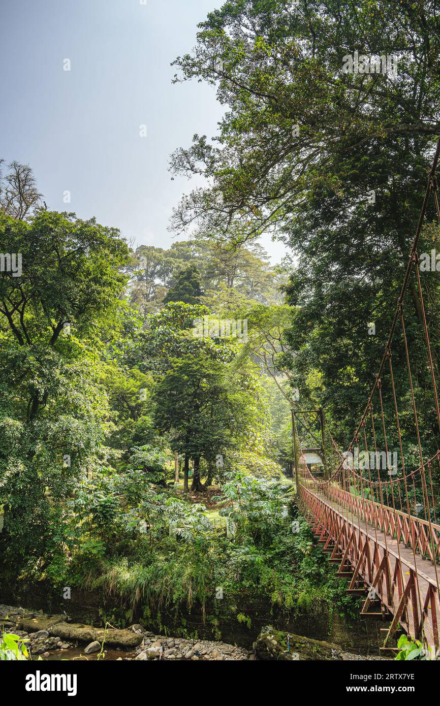 Bogor Botanical Gardens, Indonesia Stock Photo - Alamy
