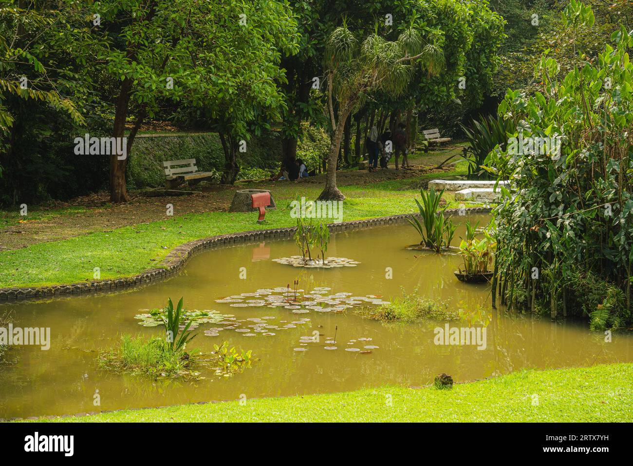 Bogor Botanical Gardens, Indonesia Stock Photo - Alamy