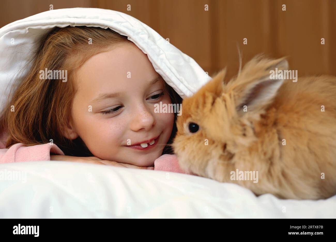 Beautiful young smiling girl is hugging a little red rabbit; child and ...