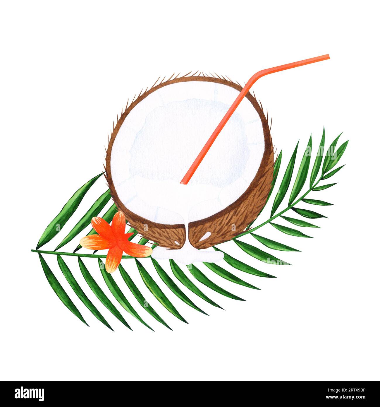 Watercolor coconut tropical milk coctail with palm leaf and flower of ...