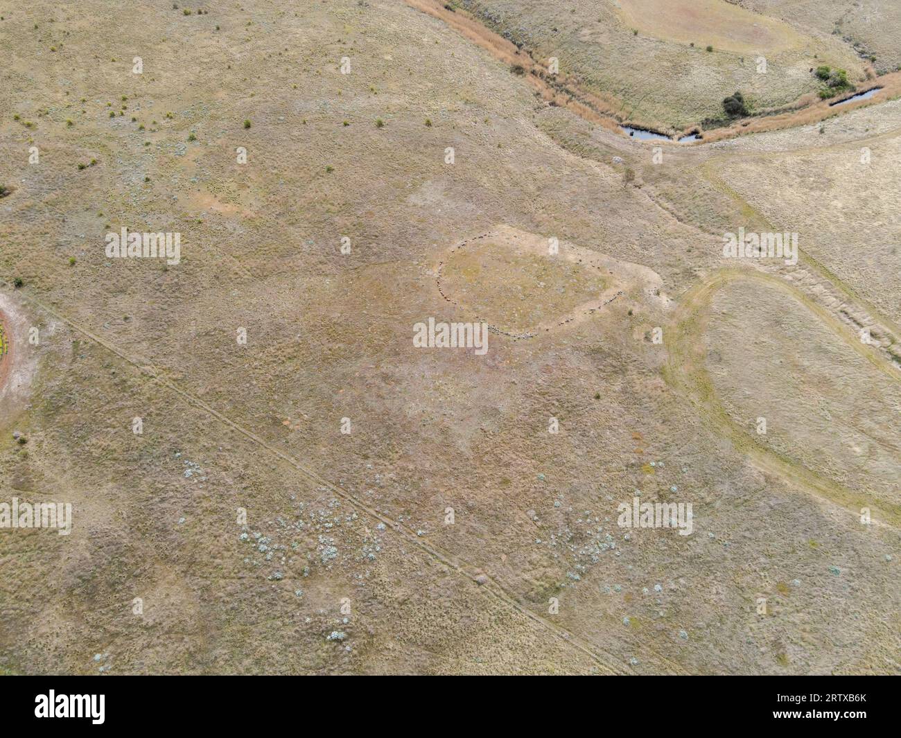 Wurdi Youang Aboriginal stone arrangement, Australia. Aligned ...