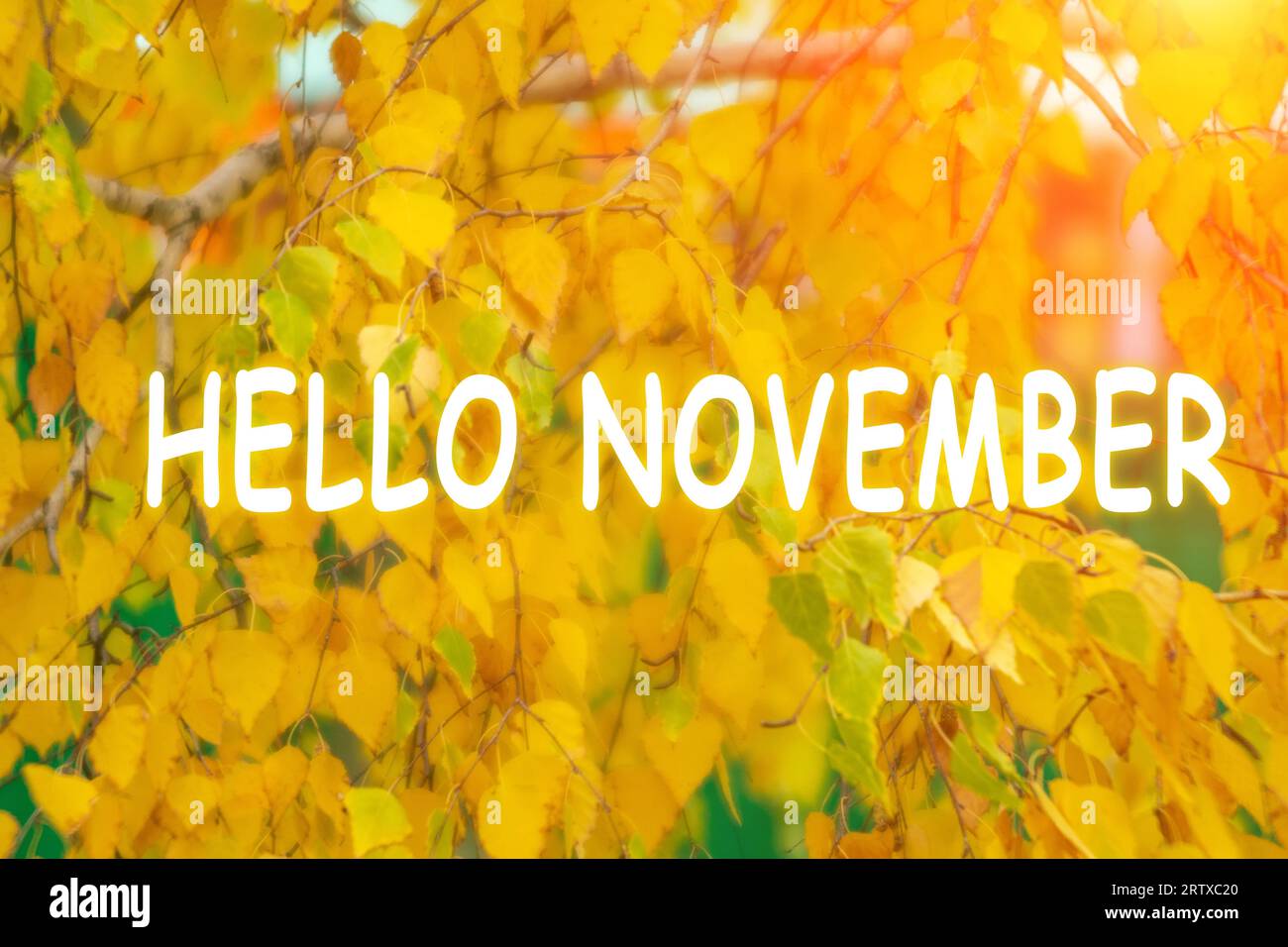 Nature background with lettering Hello November. Autumn abstract ...