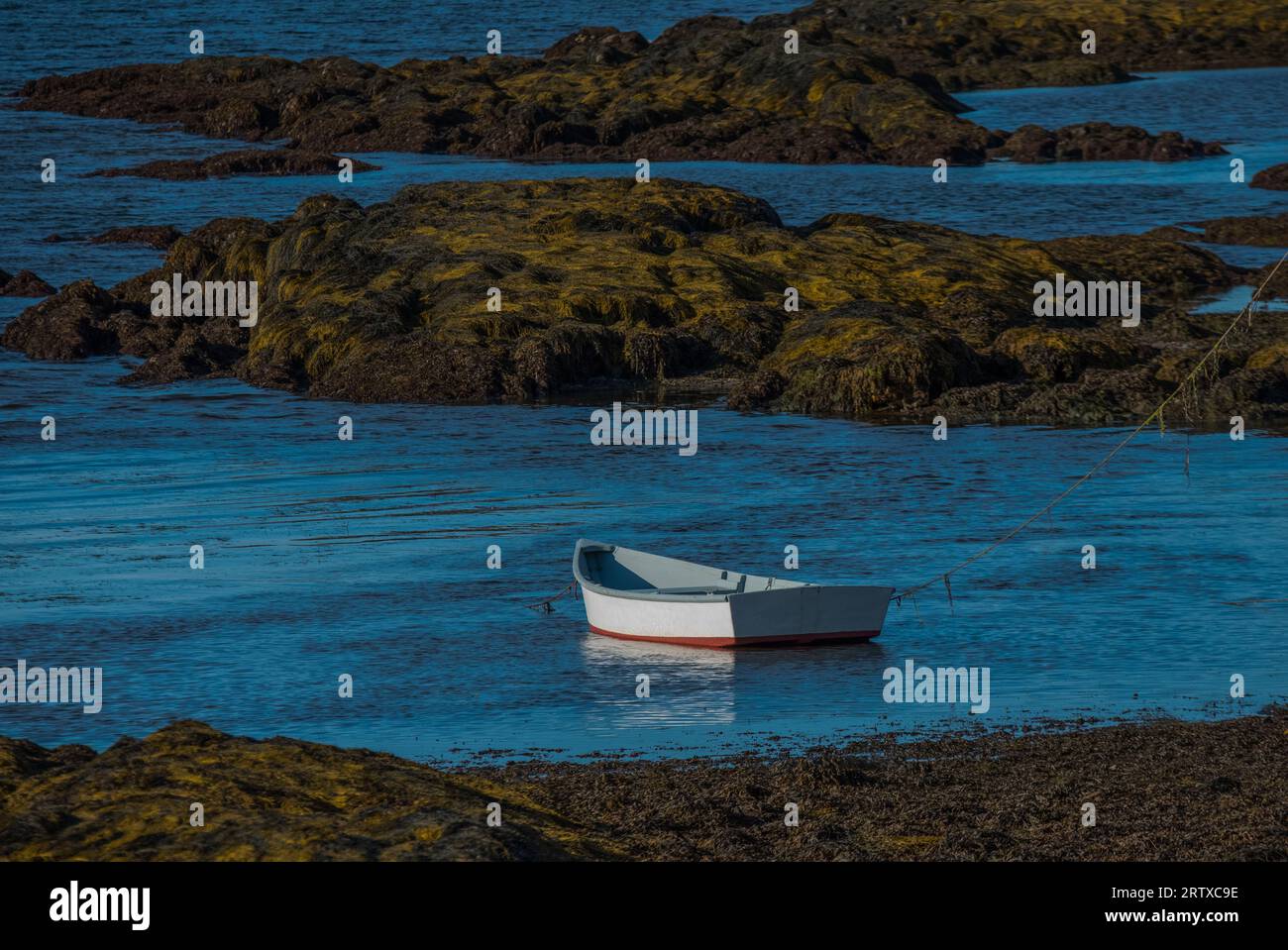 Sea skiff sits in ocean low tide amounst seaweed covered rock islands ...