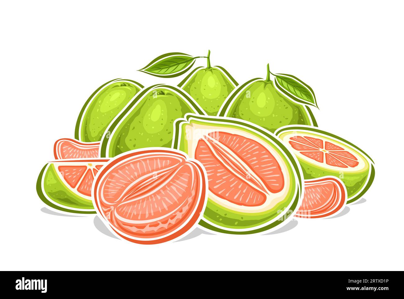 Pomelo fruit decorative Stock Vector Images - Alamy