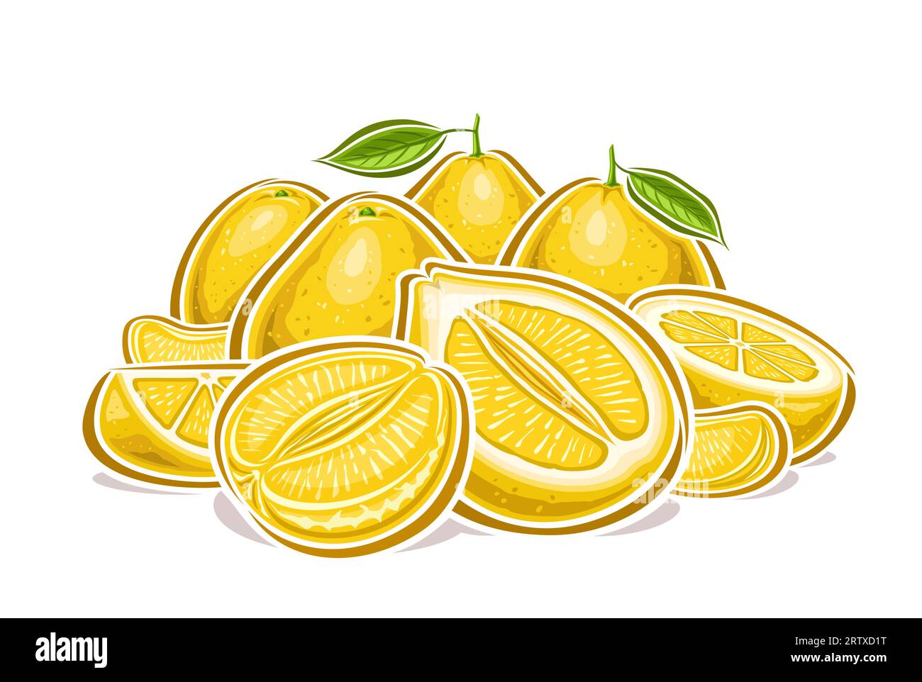 Vector logo for Yellow Pomelos, decorative horizontal poster with ...
