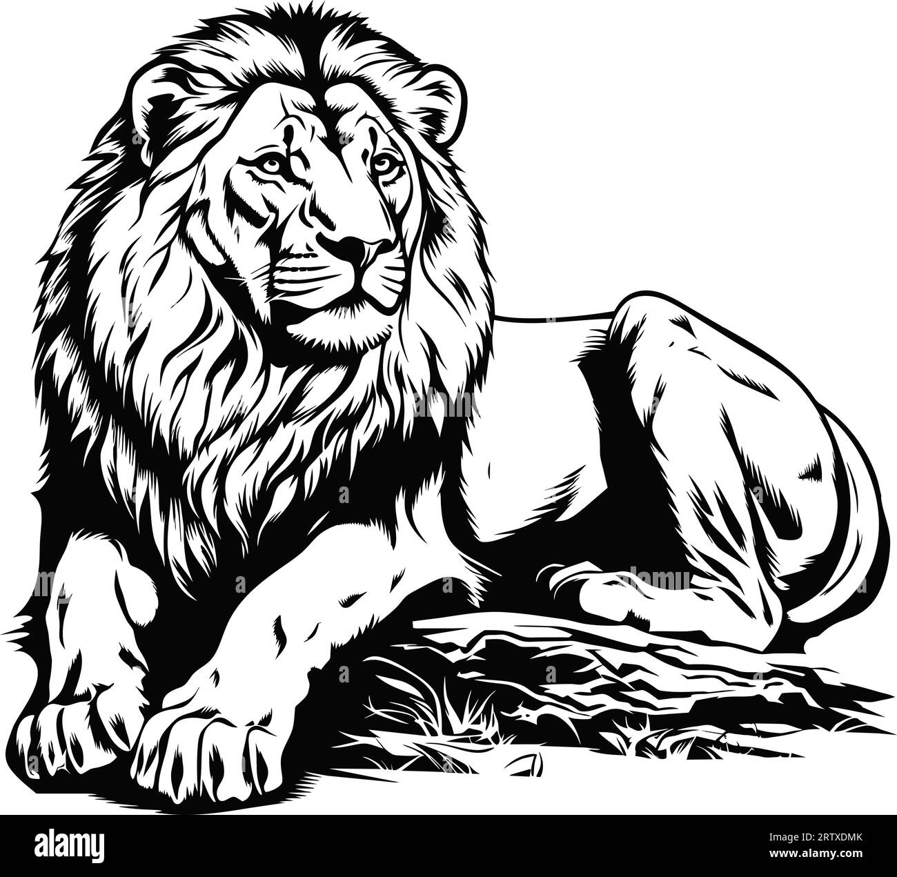 brush painting ink draw isolated lion illustration Stock Vector Image ...