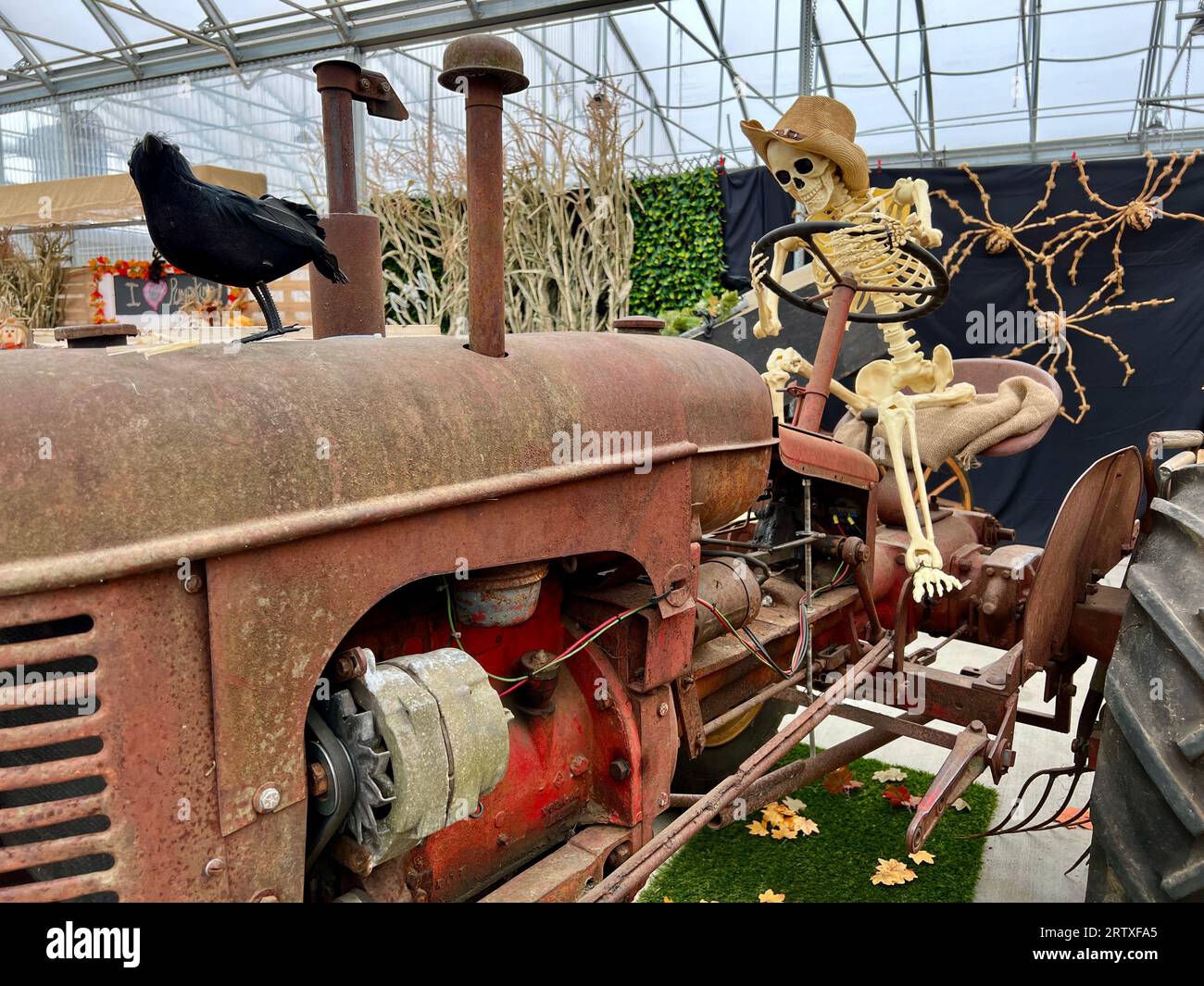 A skeleton in a straw hat sits behind the wheel of a tractor Spiders in ...