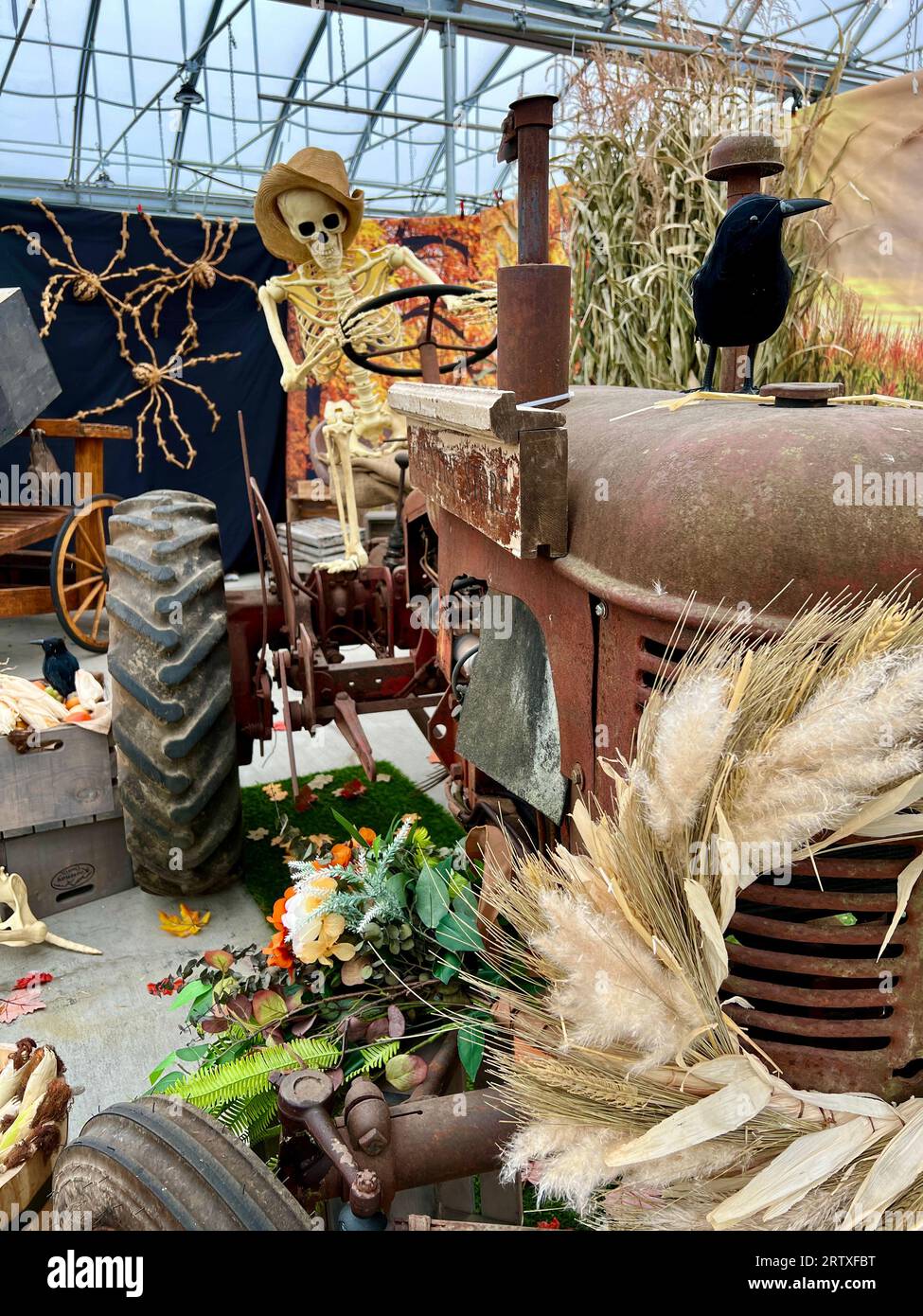 A skeleton in a straw hat sits behind the wheel of a tractor Spiders in ...