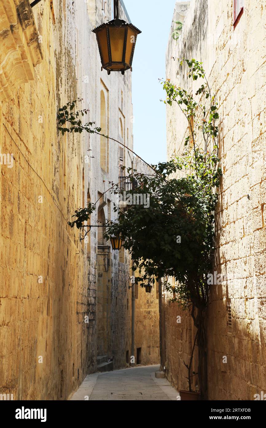 Ancient curving street between buildings in Mdina Stock Photo - Alamy