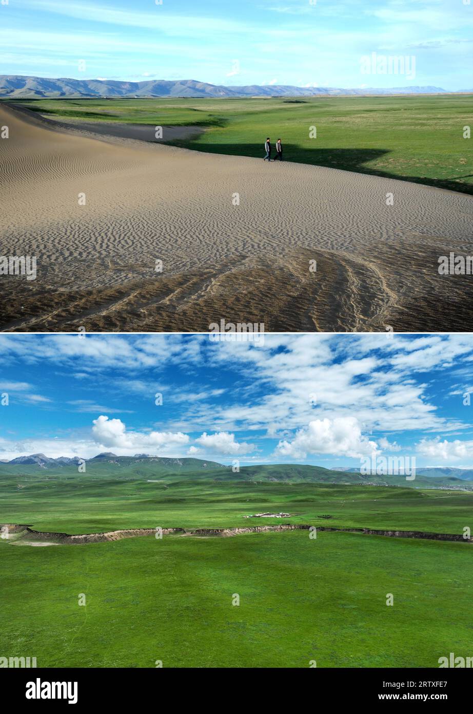 Grassland degradation hi-res stock photography and images - Alamy