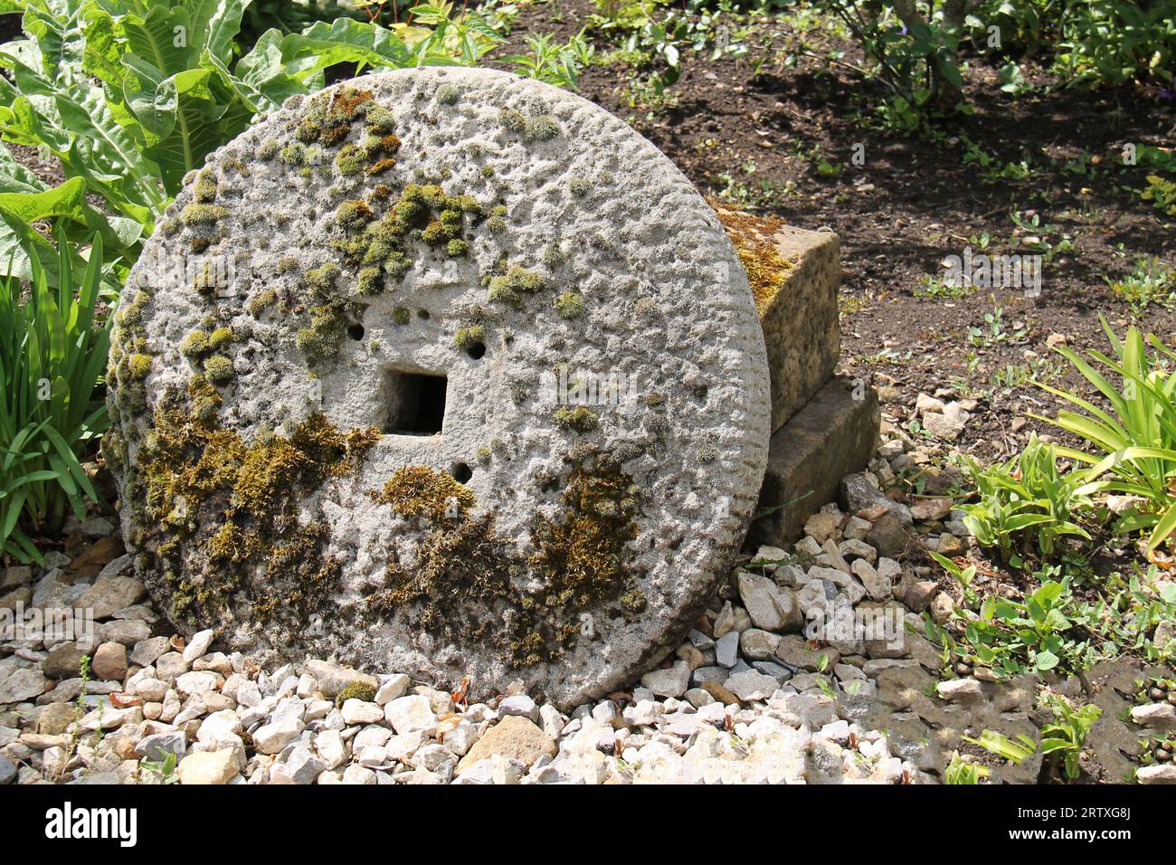 An Ornamental Moss Covered Stone Grinding Wheel Stock Photo - Alamy