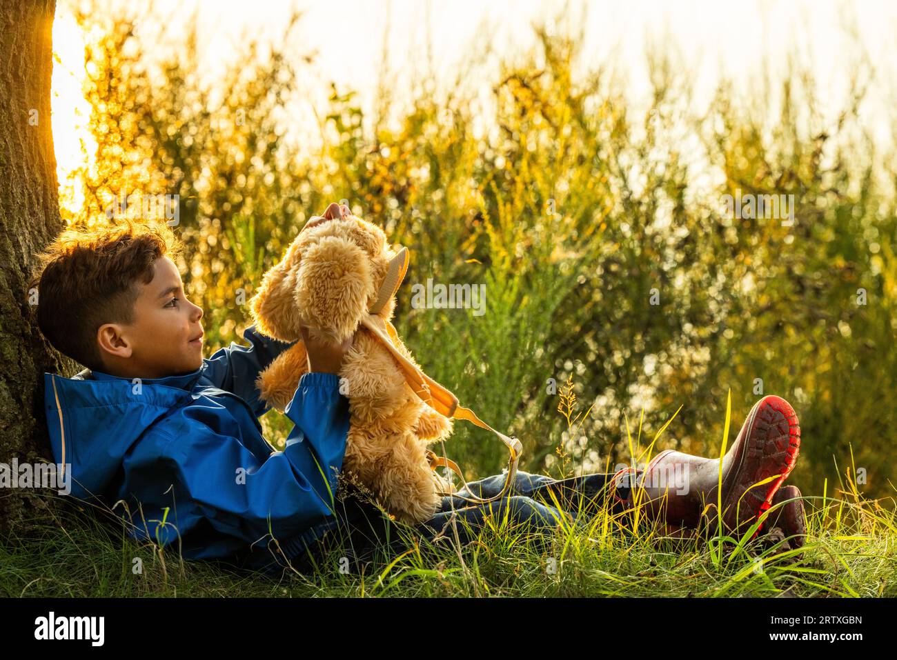 In the enchanting embrace of golden hour, a little boy sits on the ...