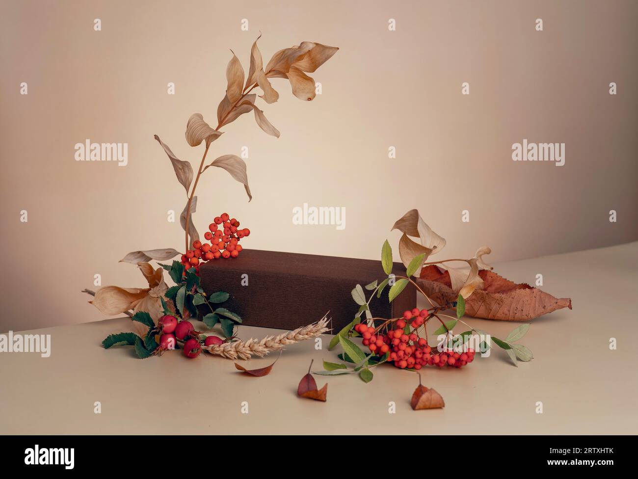 Autumn Elegance: Nature-Inspired Cosmetic Showcase with Leafy Accents ...