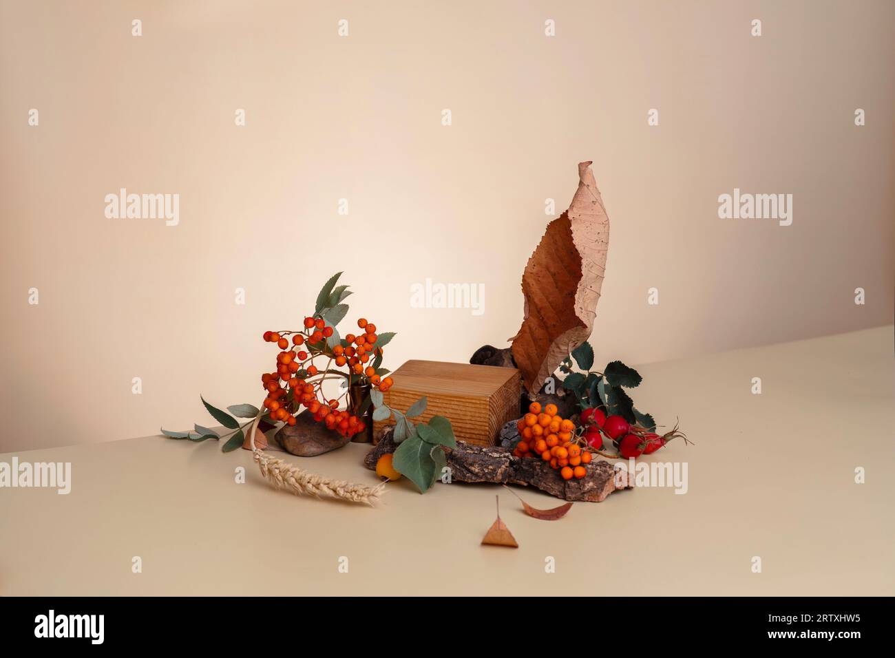 Autumn Elegance: Nature-Inspired Cosmetic Showcase with Leafy Accents ...