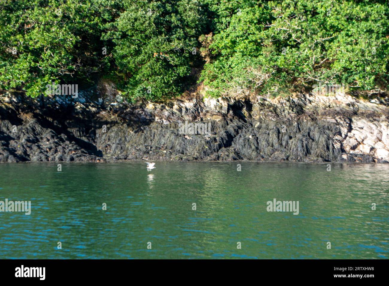 River Fal, Cornwall, UK - August 2023: View from outside Trelissick ...