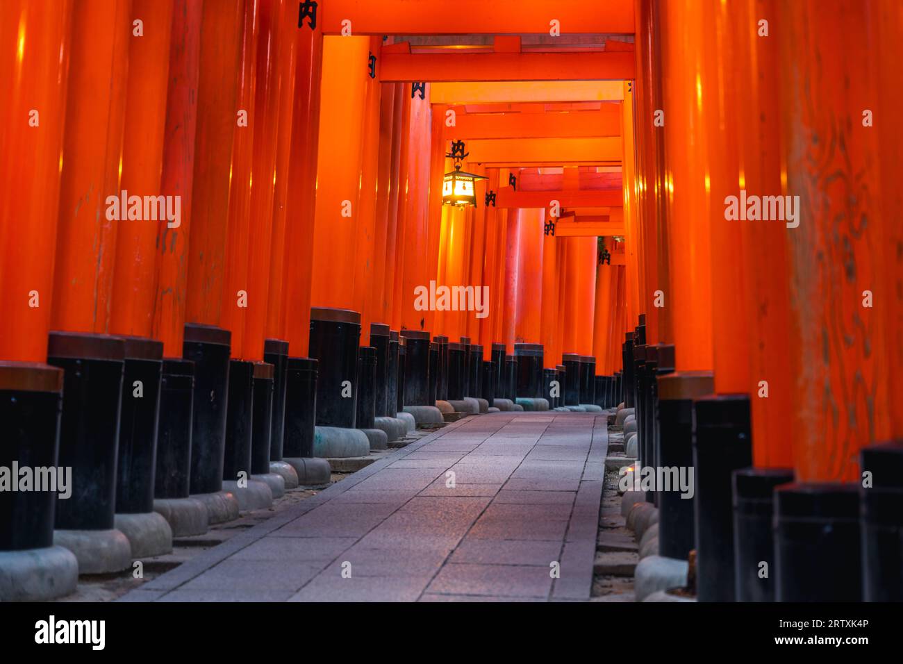 Red Torii gates in Fushimi Inari shrine in Kyoto, Japan Stock Photo - Alamy