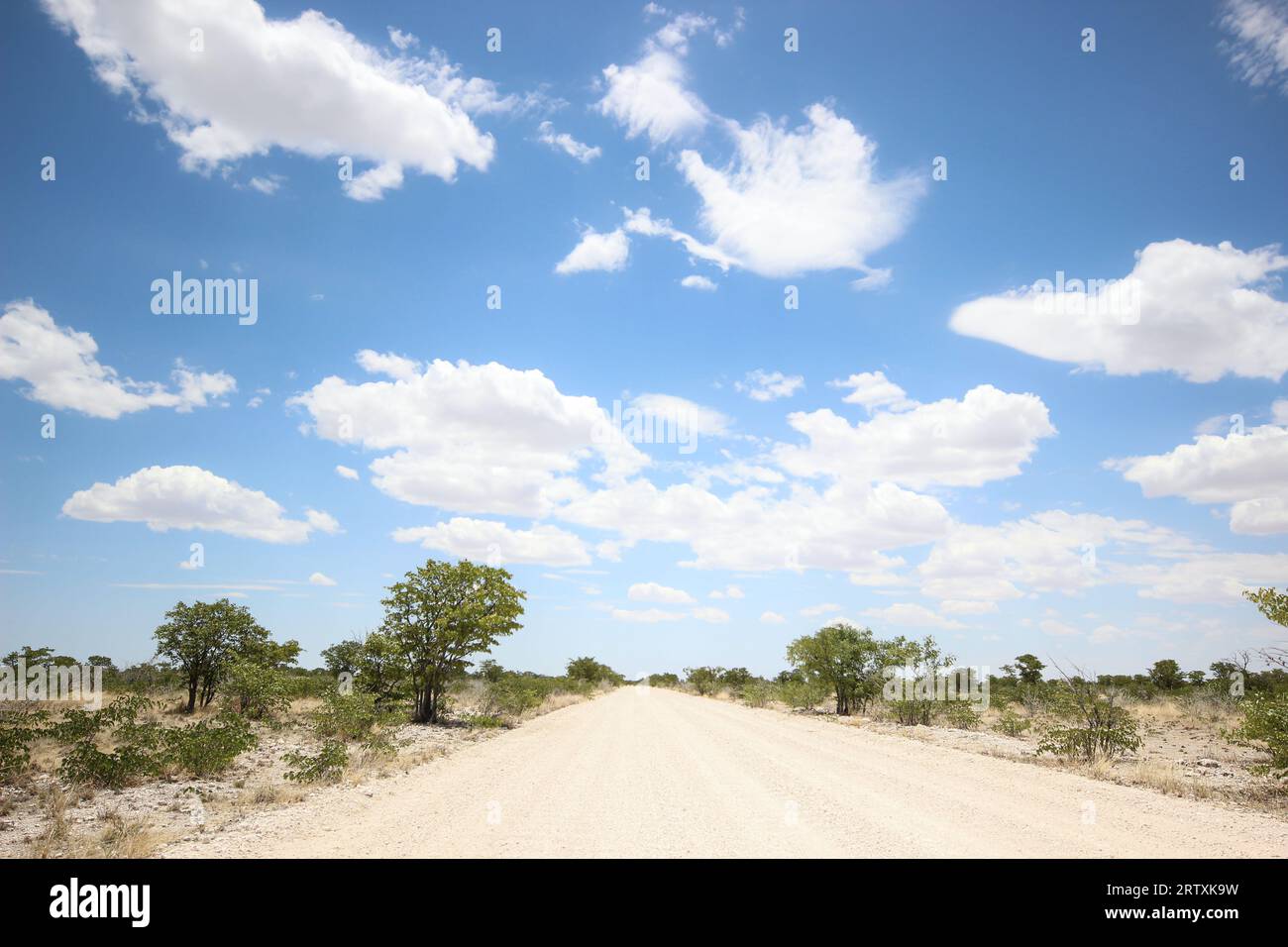 Open dirt road hi-res stock photography and images - Alamy