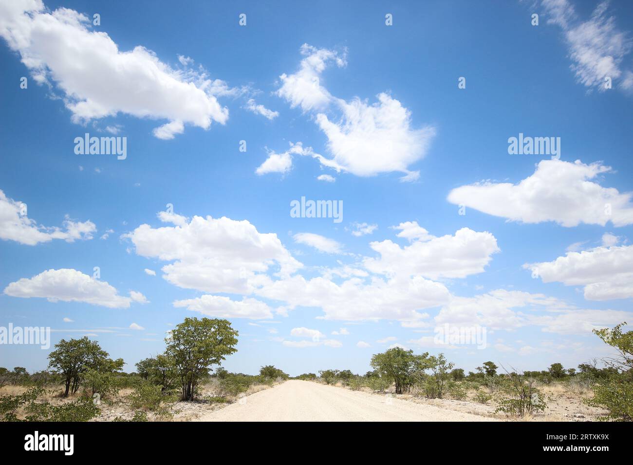 Open dirt road hi-res stock photography and images - Alamy
