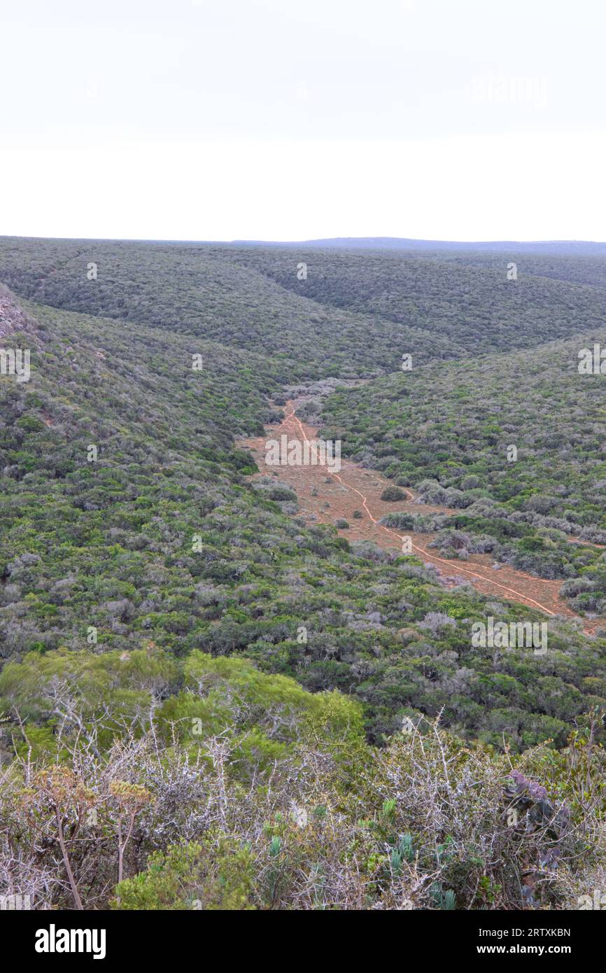 Addo elephant park scenery hi-res stock photography and images - Alamy